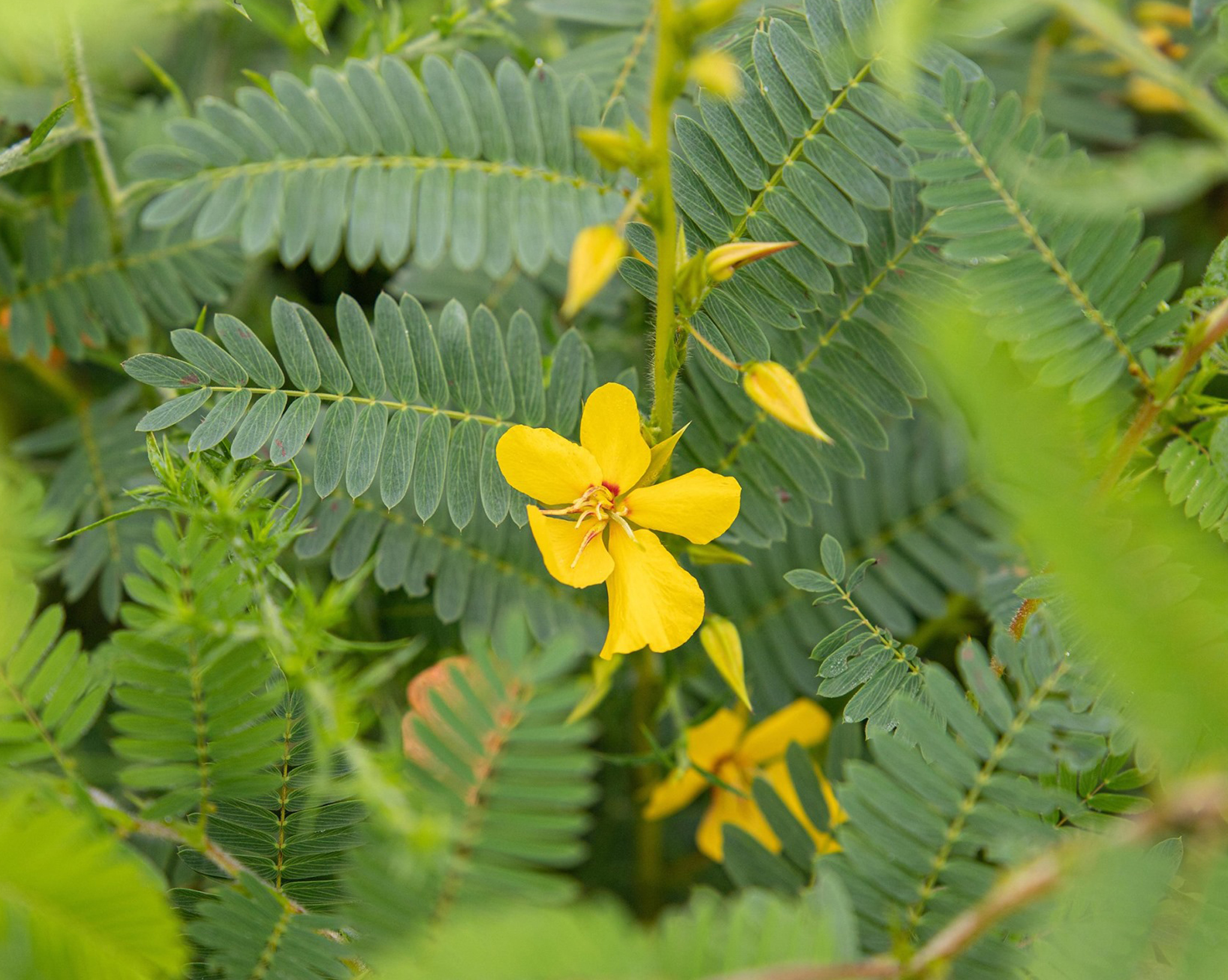 Knox County Tennessee - Water Trail